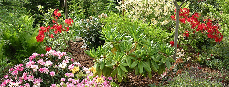 Planter | Planter er dit personlige udtryk på alle årstider